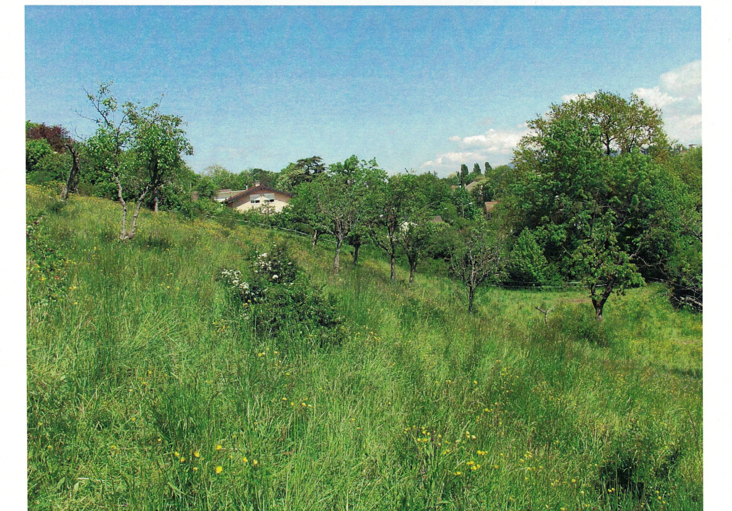 VERGER | Terrasses de Lancy - site officiel